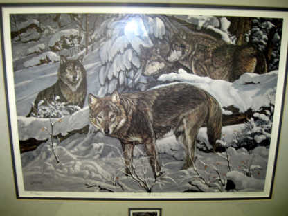 Winter Shadow - M. Visser